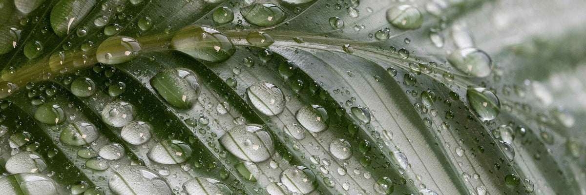 Contraceptions naturelles : tout savoir sur les 5 méthodes